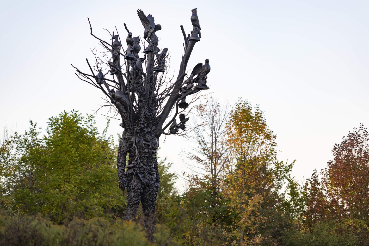 Chihuly At Meijer Gardens » Meijer Gardens | Frederik Meijer Gardens ...
