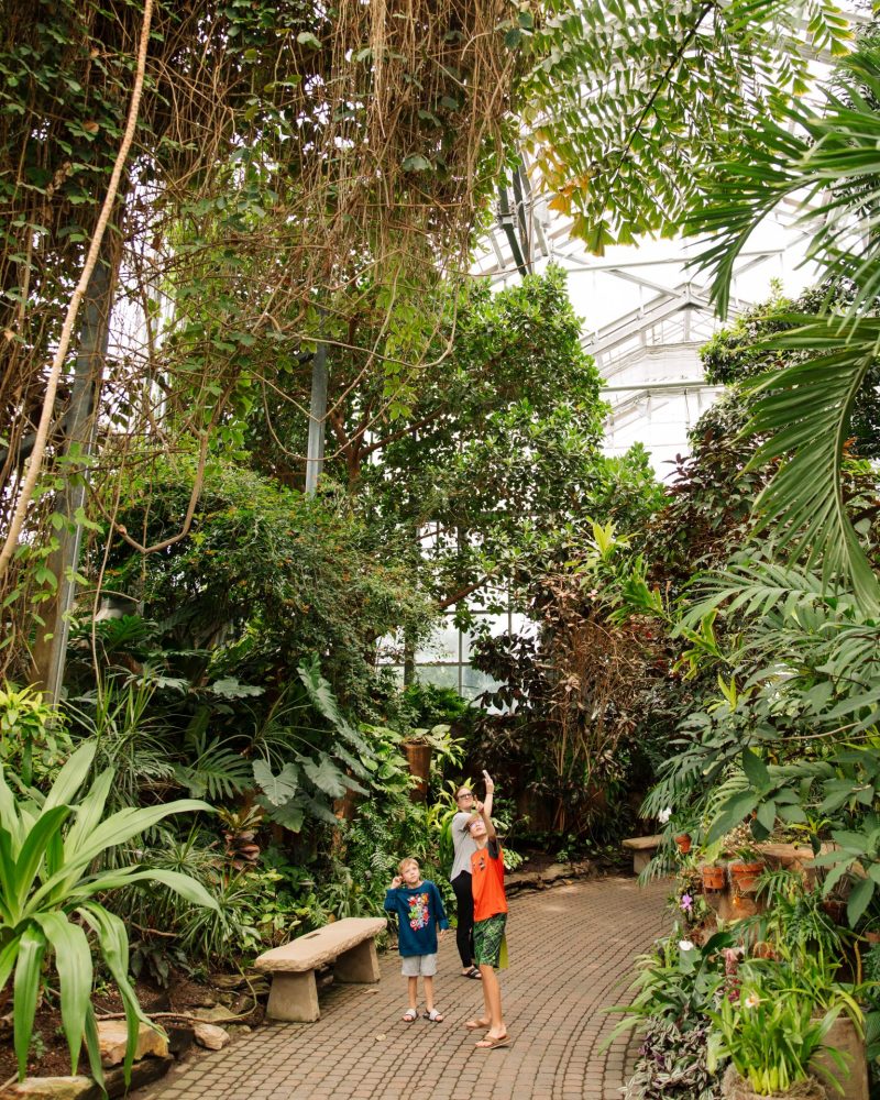 Welcome To Meijer Gardens » Meijer Gardens | Frederik Meijer Gardens ...