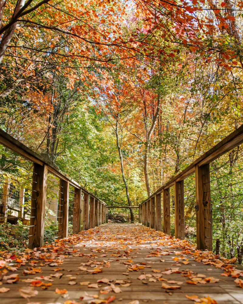 Welcome To Meijer Gardens » Meijer Gardens | Frederik Meijer Gardens ...